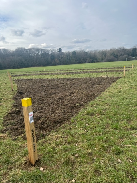 Wildflower Meadow is coming! – Friends of Coldfall Wood & Muswell Hill ...