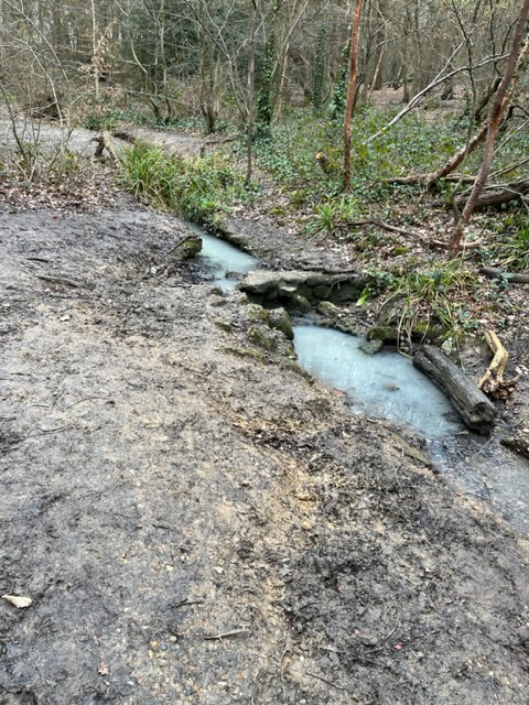 Pollution – Friends of Coldfall Wood & Muswell Hill Playing Fields